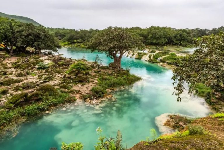 Omã deverá adjudicar o projecto da cidade inteligente de Salalah no ...